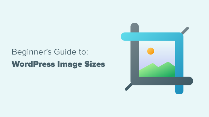 Beginner’s Guide to WordPress Image Sizes (+ Best Practices) - Axnhost.com